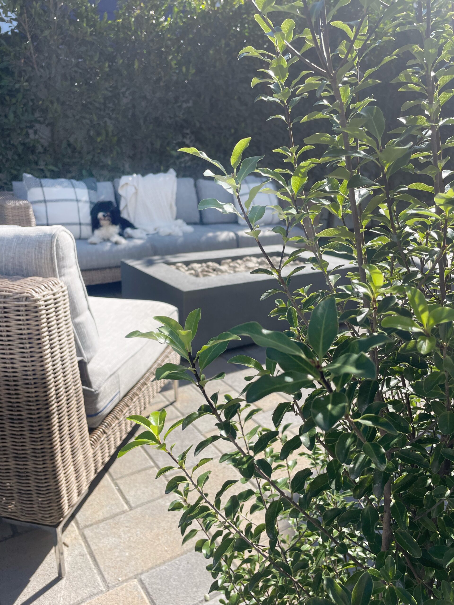 The Details of Our Backyard Transformation - Kristin Dion Design